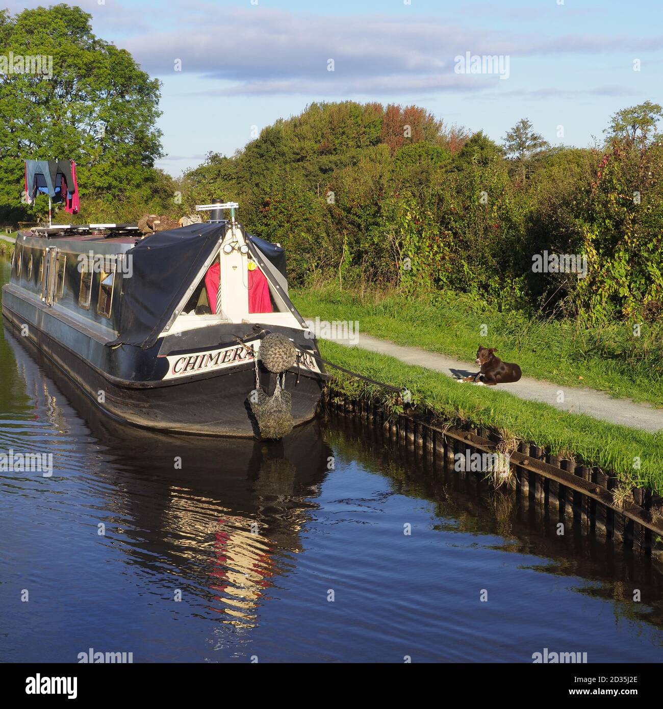 Narrow boat canal holiday Stock Photo - Alamy