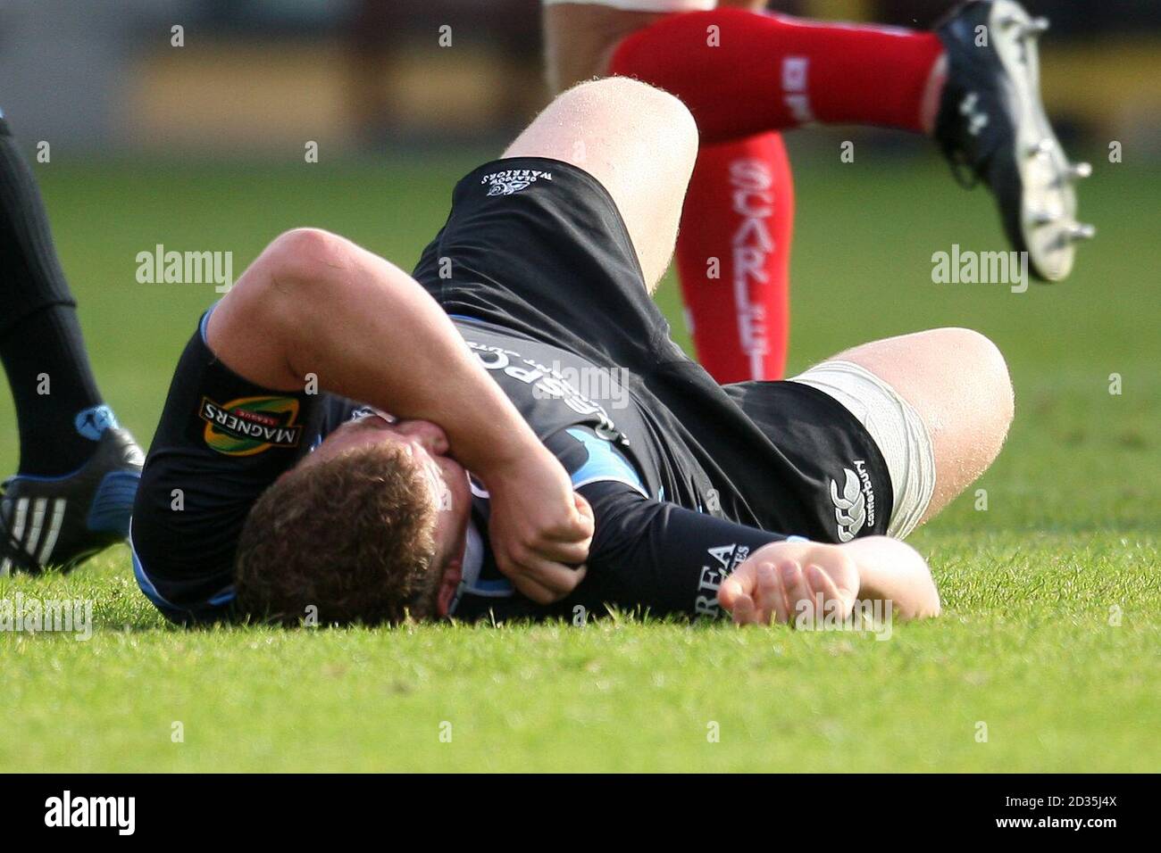 Moray low glasgow warriors hi-res stock photography and images - Alamy