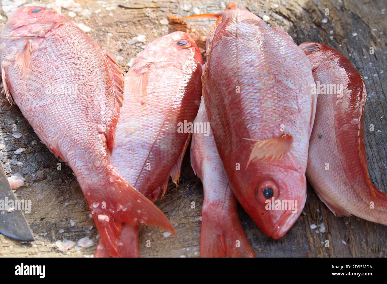 Caribbean Fish Market Stock Photo - Alamy
