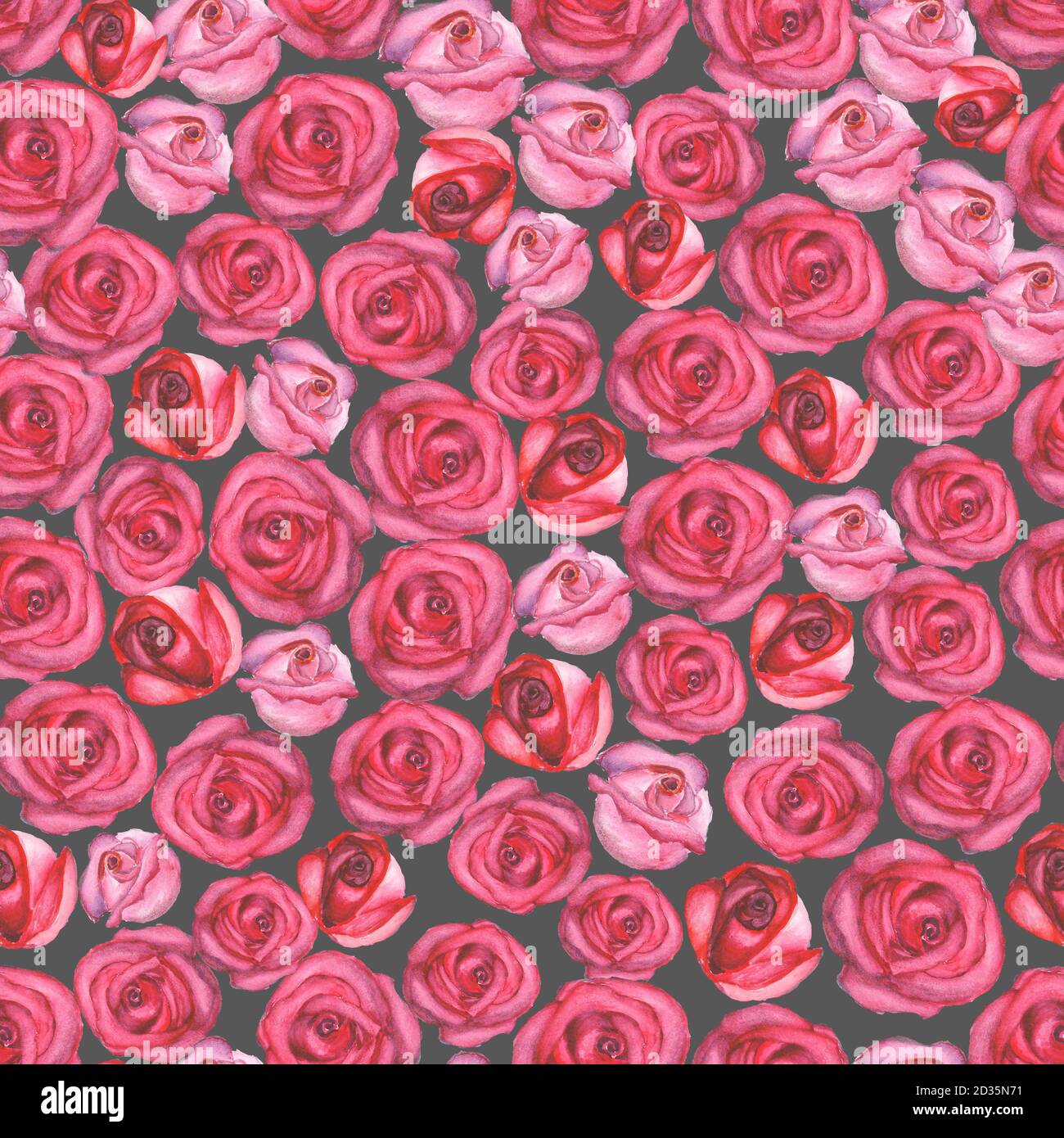 Watercolor seamless pattern with pink and red roses Stock Photo - Alamy