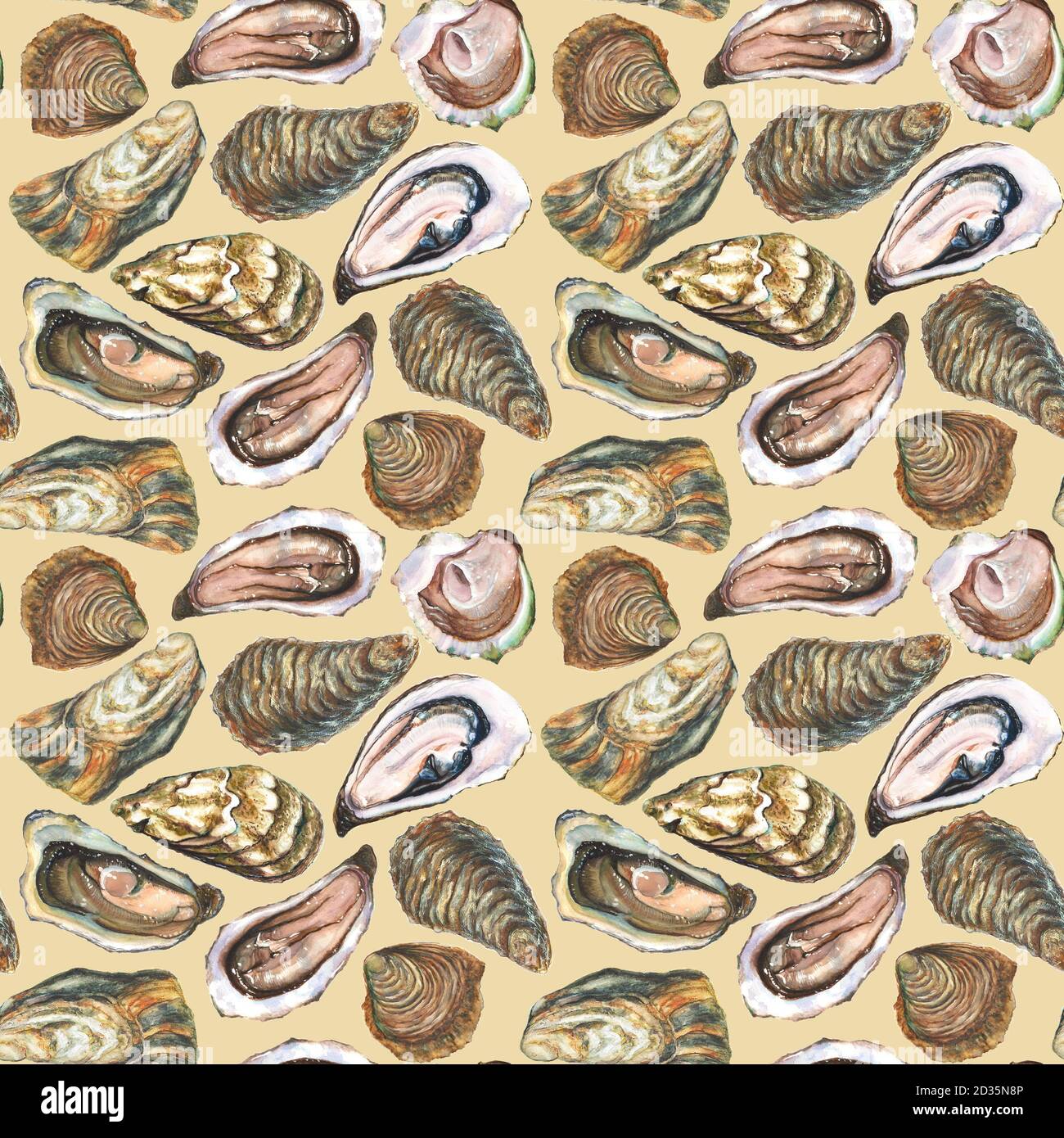 Oysters watercolor hand drawn seamless pattern, isolated on white ...