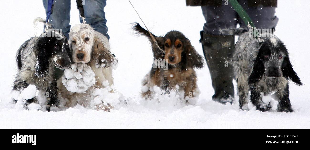 Claire left hi-res stock photography and images - Alamy