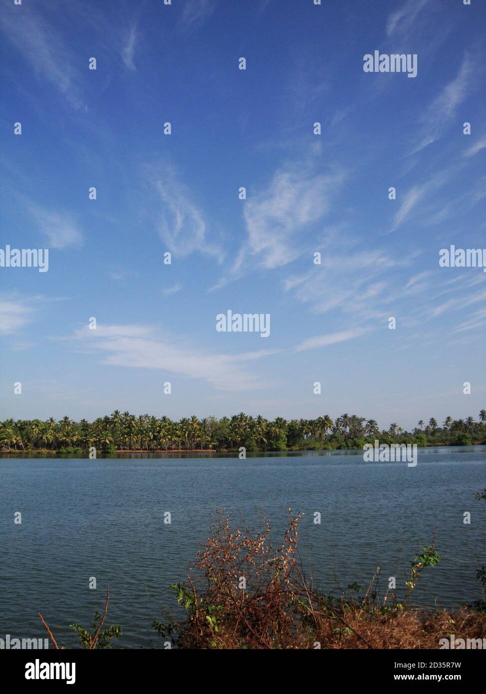the backwaters and swampland in the Kerala region in India Stock Photo ...