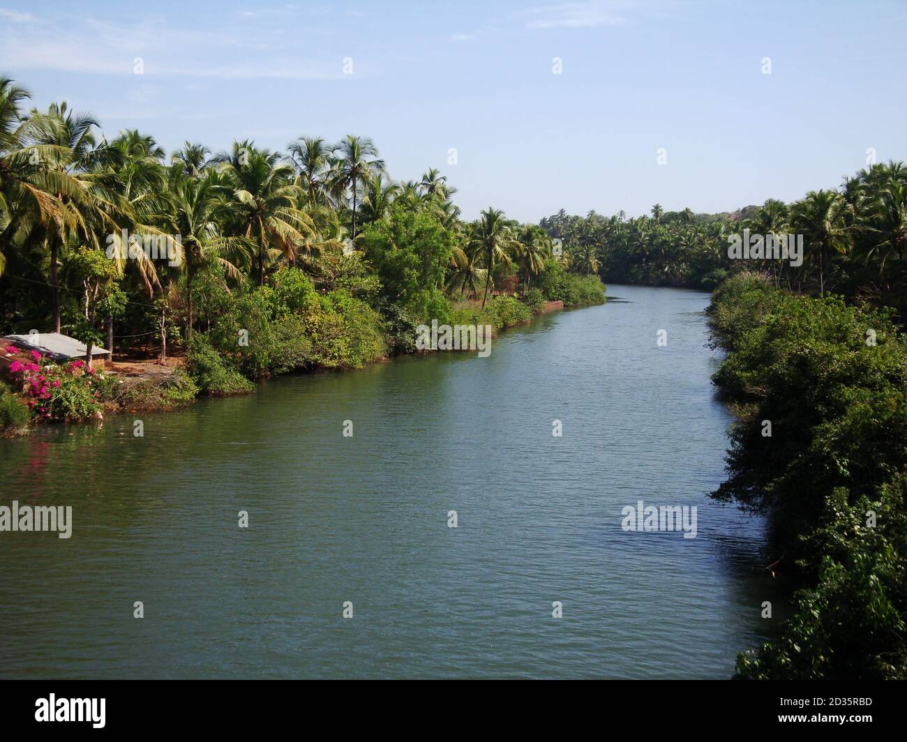 the backwaters and swampland in the Kerala region in India Stock Photo ...