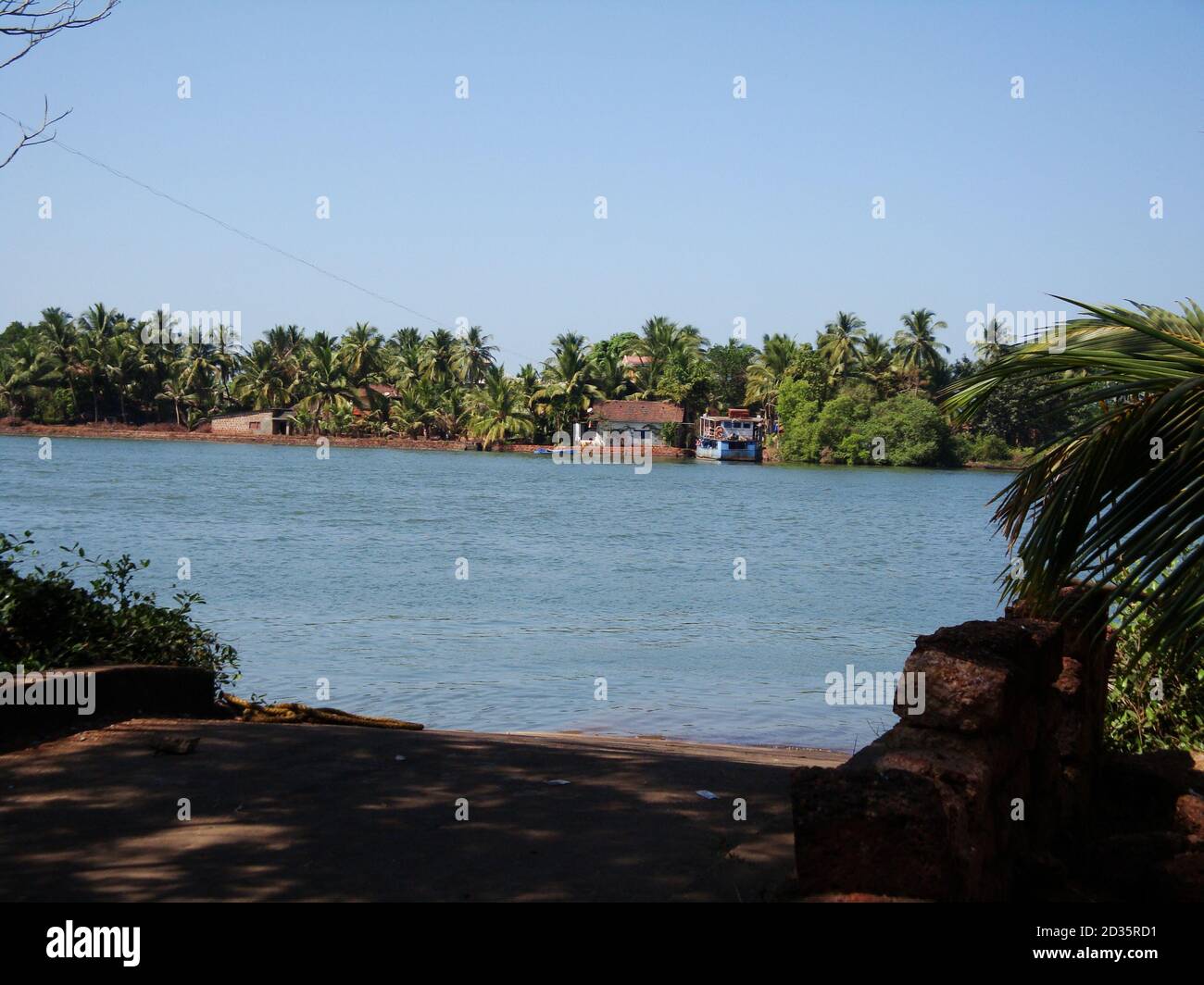 the backwaters and swampland in the Kerala region in India Stock Photo ...
