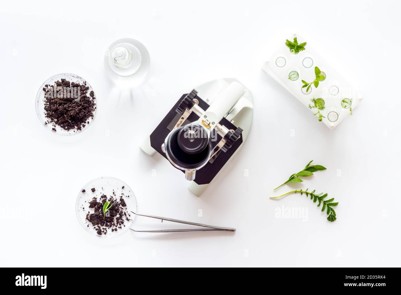 Biotechnology laboratory with plants and microscope on table Stock ...