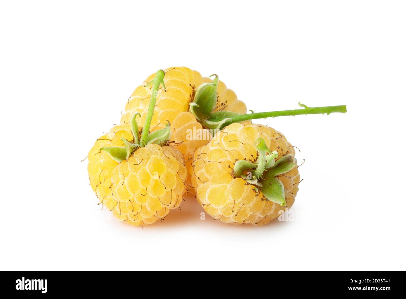 Three ripe yellow raspberry fruits with green stems isolated on white ...