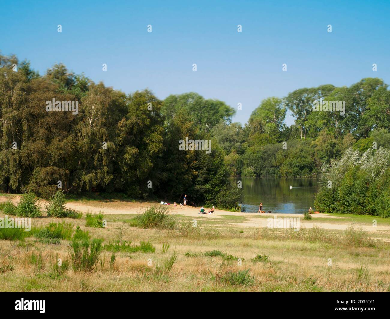 People enjoying the late summer sunshine at Lynford Water Lake in ...