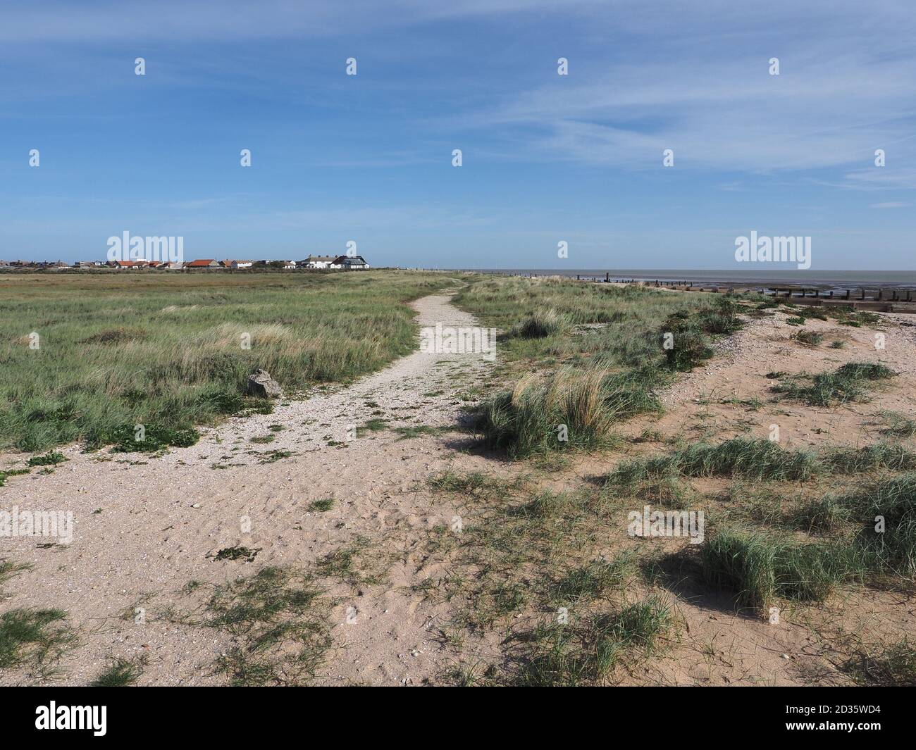 Shellness hi-res stock photography and images - Alamy