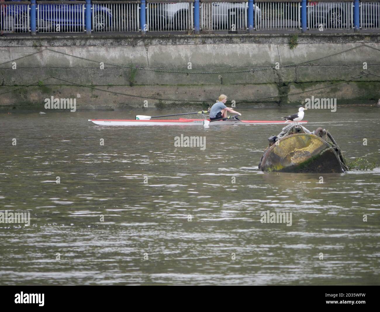 Putney rowing hi-res stock photography and images - Alamy