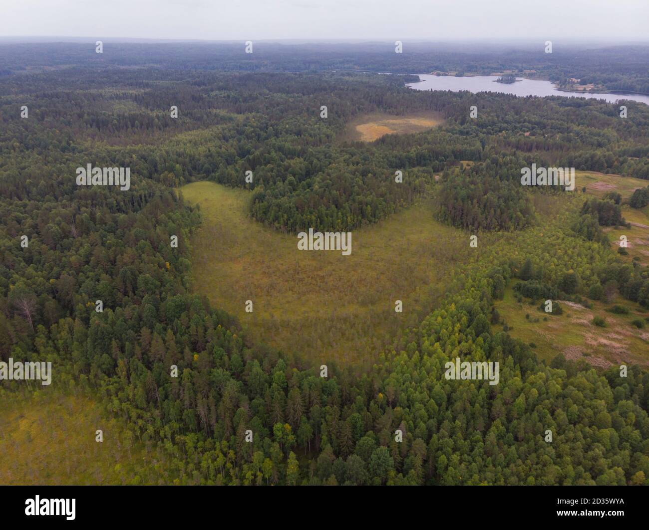 Big swamp hi-res stock photography and images - Alamy