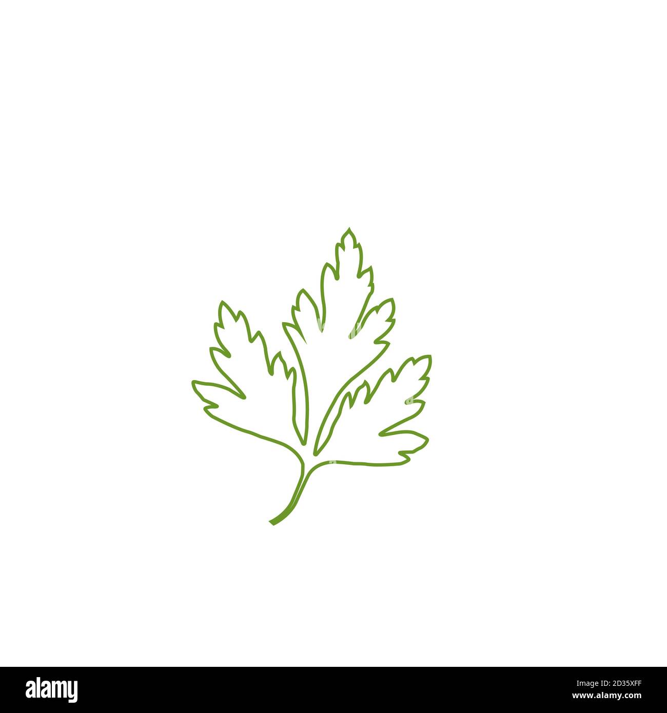 Parsley Vector illustration Stock Vector Image & Art - Alamy