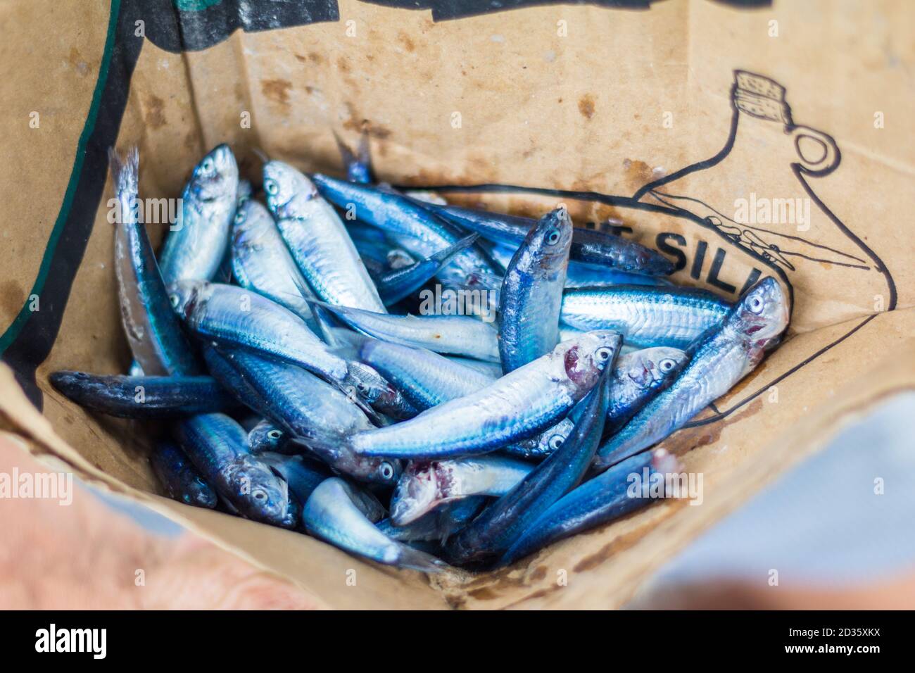 Freshly caught fish for lunch Stock Photo - Alamy