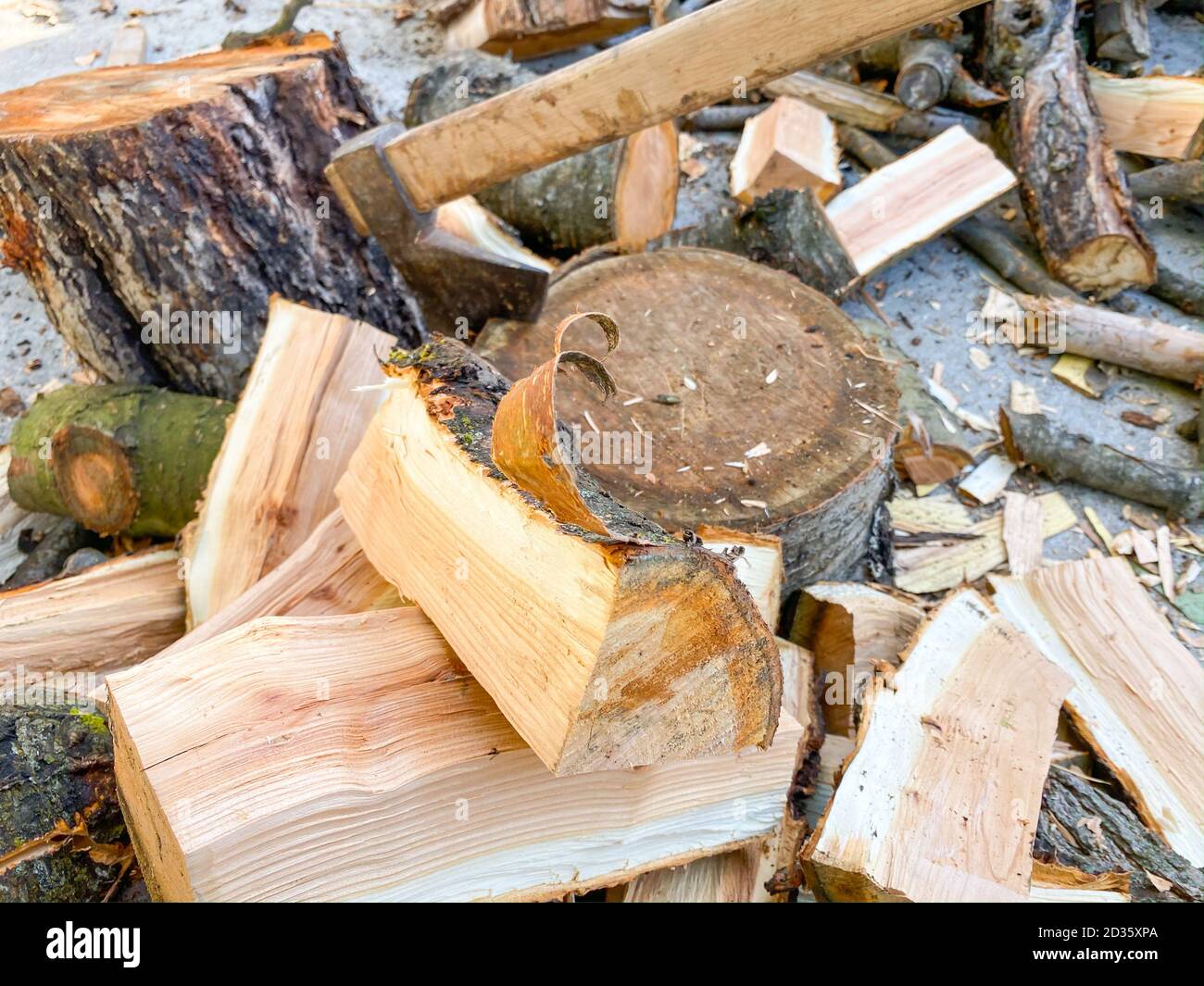 Ax stuck in a tree stump. Woodcutter's ax on the stump Stock Photo - Alamy