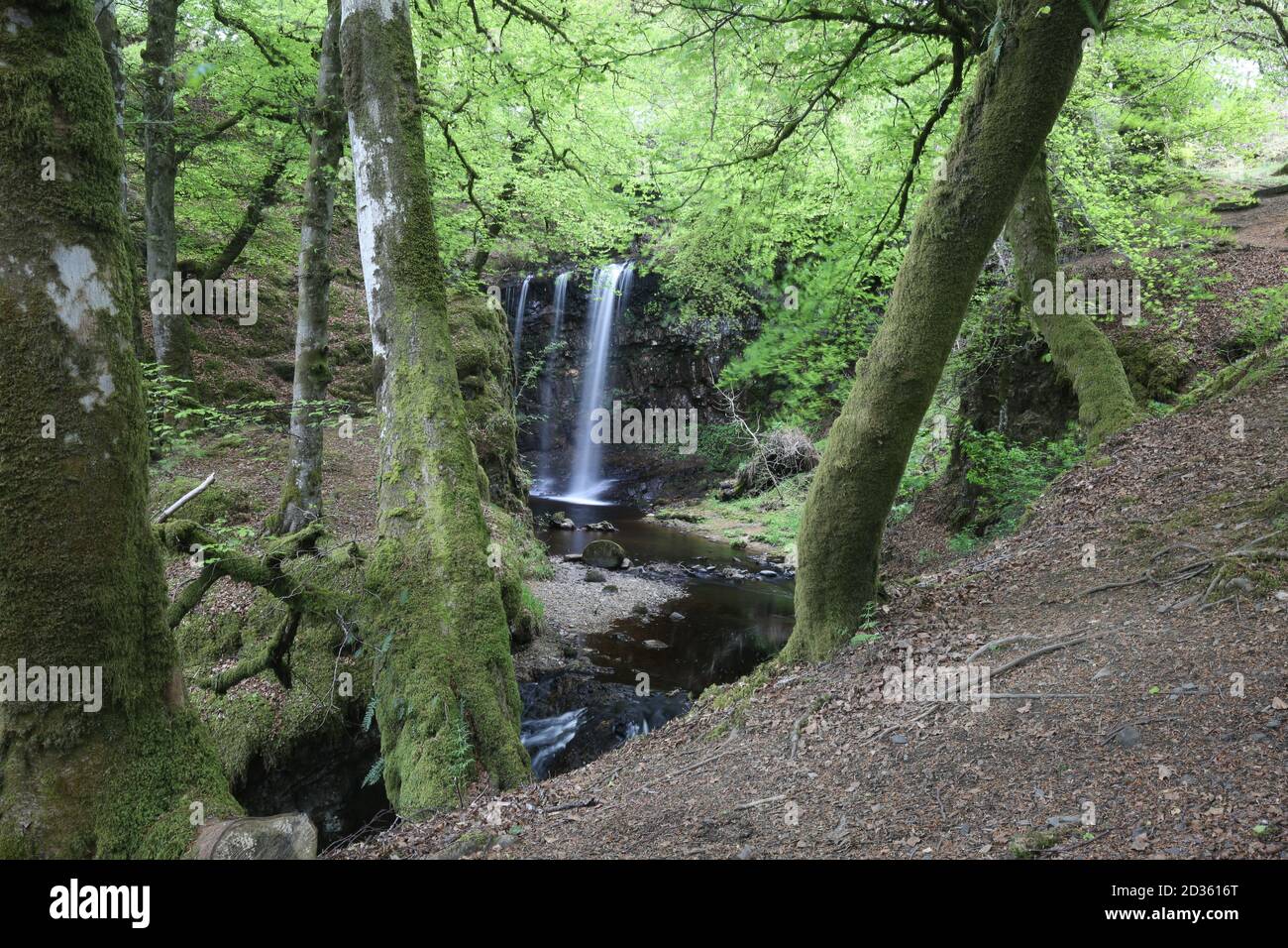 Dalcairney Waterfalls , Dalmellington, Ayrshire, Scotland, UK Stock ...