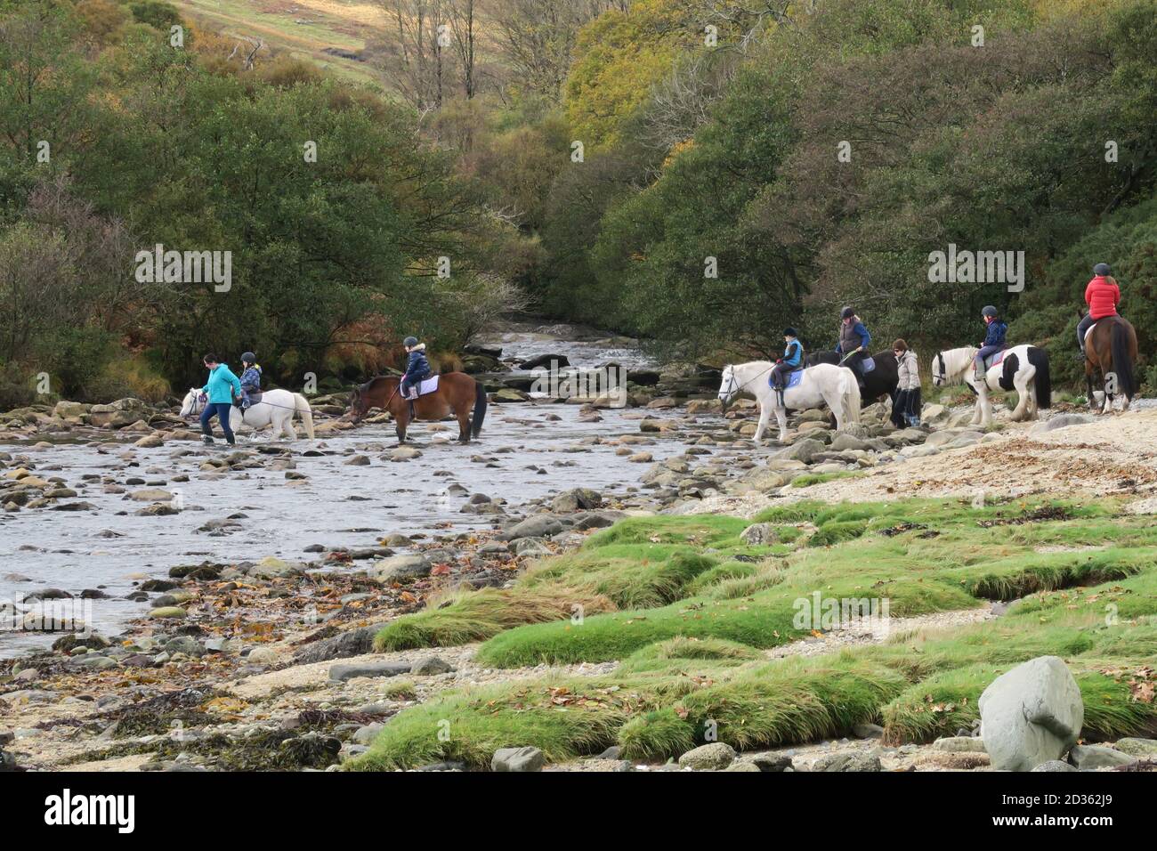 Equestrian holidays scotland hi-res stock photography and images - Alamy