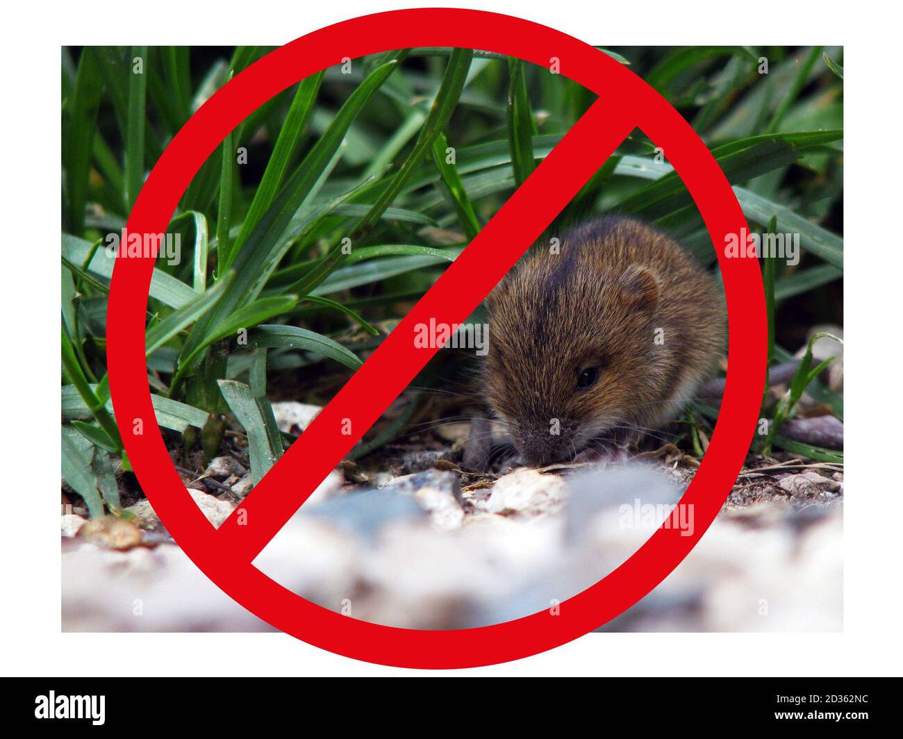 Rat poison warning sign hi-res stock photography and images - Alamy