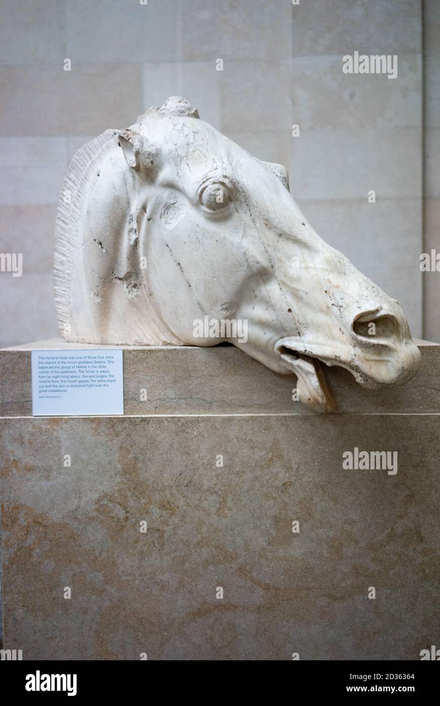 Greece. Athens. Parthenon. Head of horse from the chariot of the moon ...