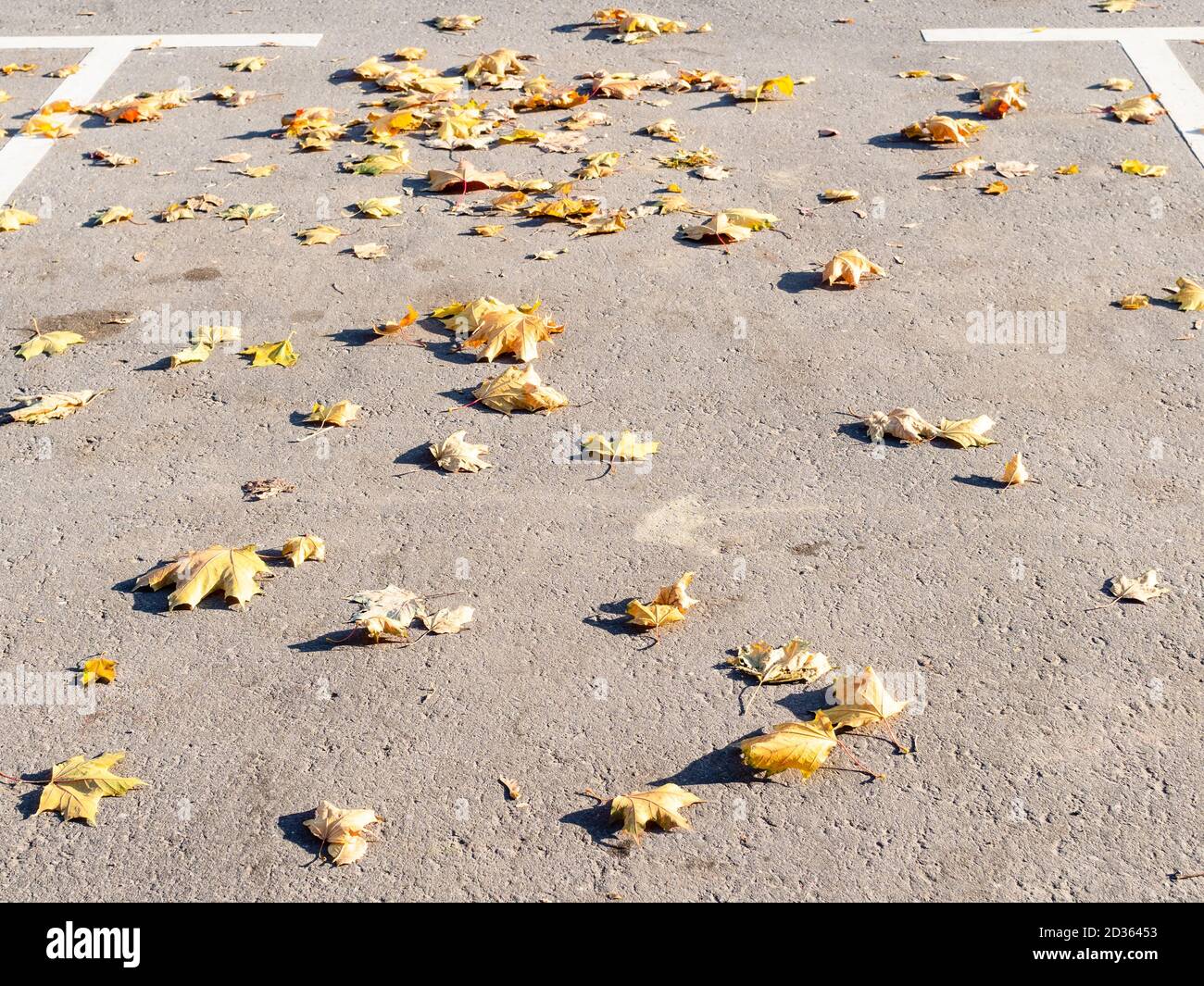 Surface parking lot hi-res stock photography and images - Alamy