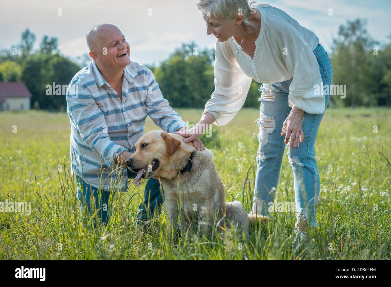 Retired happy retirement dog hi-res stock photography and images - Alamy