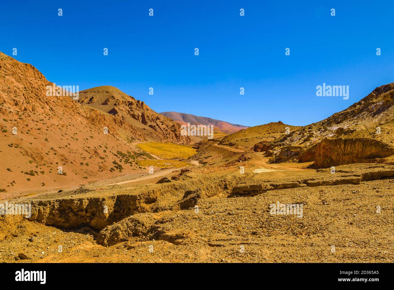 Beautiful puna andean landscape at brava lagoon reserve, la rioja ...