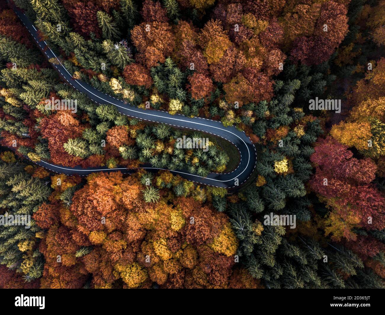 Outdoor foliage hi-res stock photography and images - Alamy