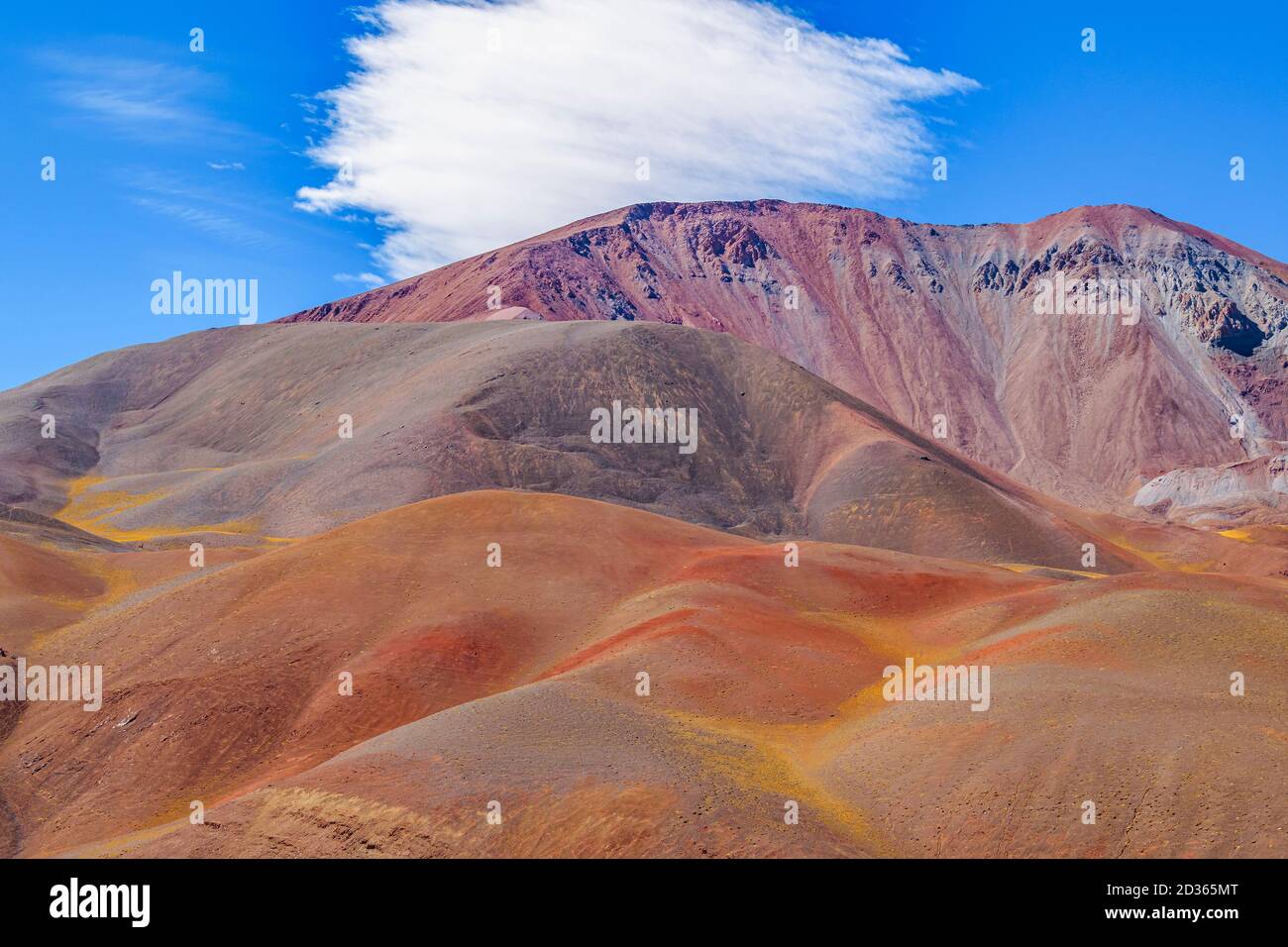 Beautiful puna andean landscape at brava lagoon reserve, la rioja ...