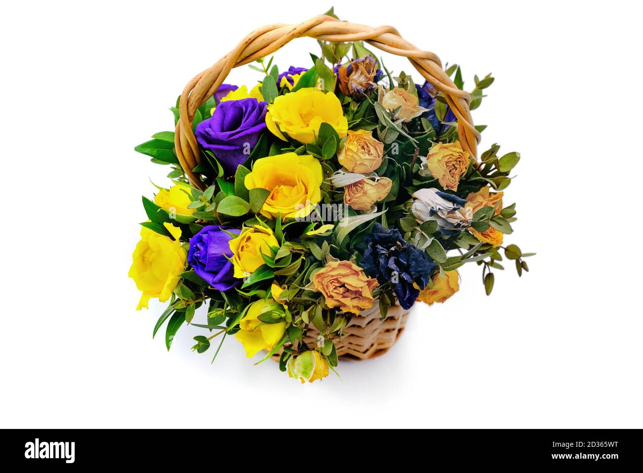 Bouquet of wilted and fresh flowers. Isolate on a white background in ...