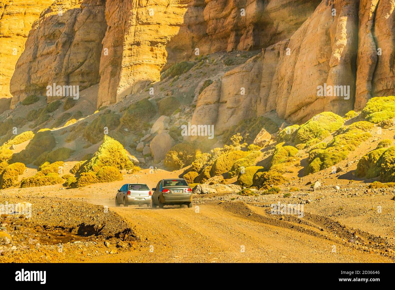 Beautiful puna andean landscape at brava lagoon reserve, la rioja ...