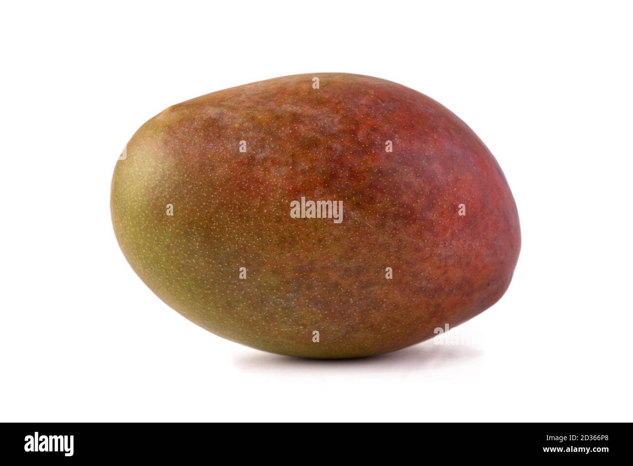 Mango isolated on white background. Fresh, unpeeled, whole fruit, red ...