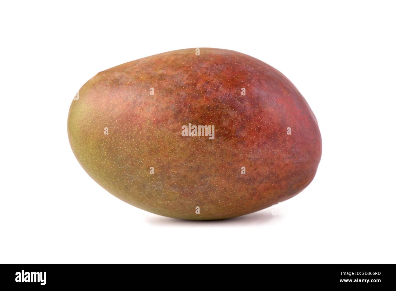 Mango isolated on white background. Fresh, unpeeled, whole fruit, red ...
