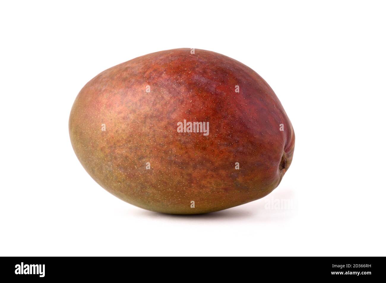 Mango isolated on white background. Fresh, unpeeled, whole fruit, red ...
