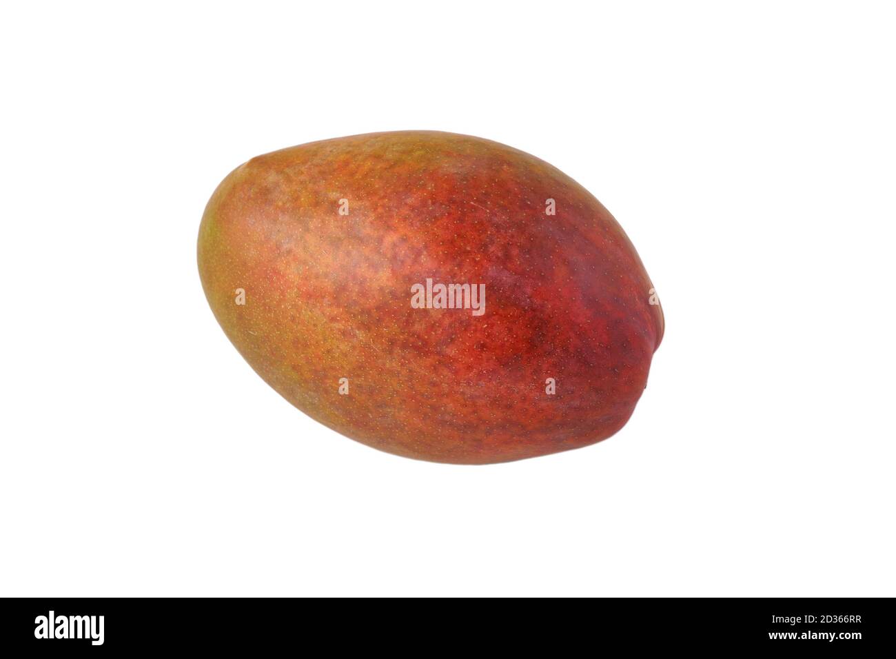 Mango isolated on white background. Fresh, unpeeled, whole fruit, red ...