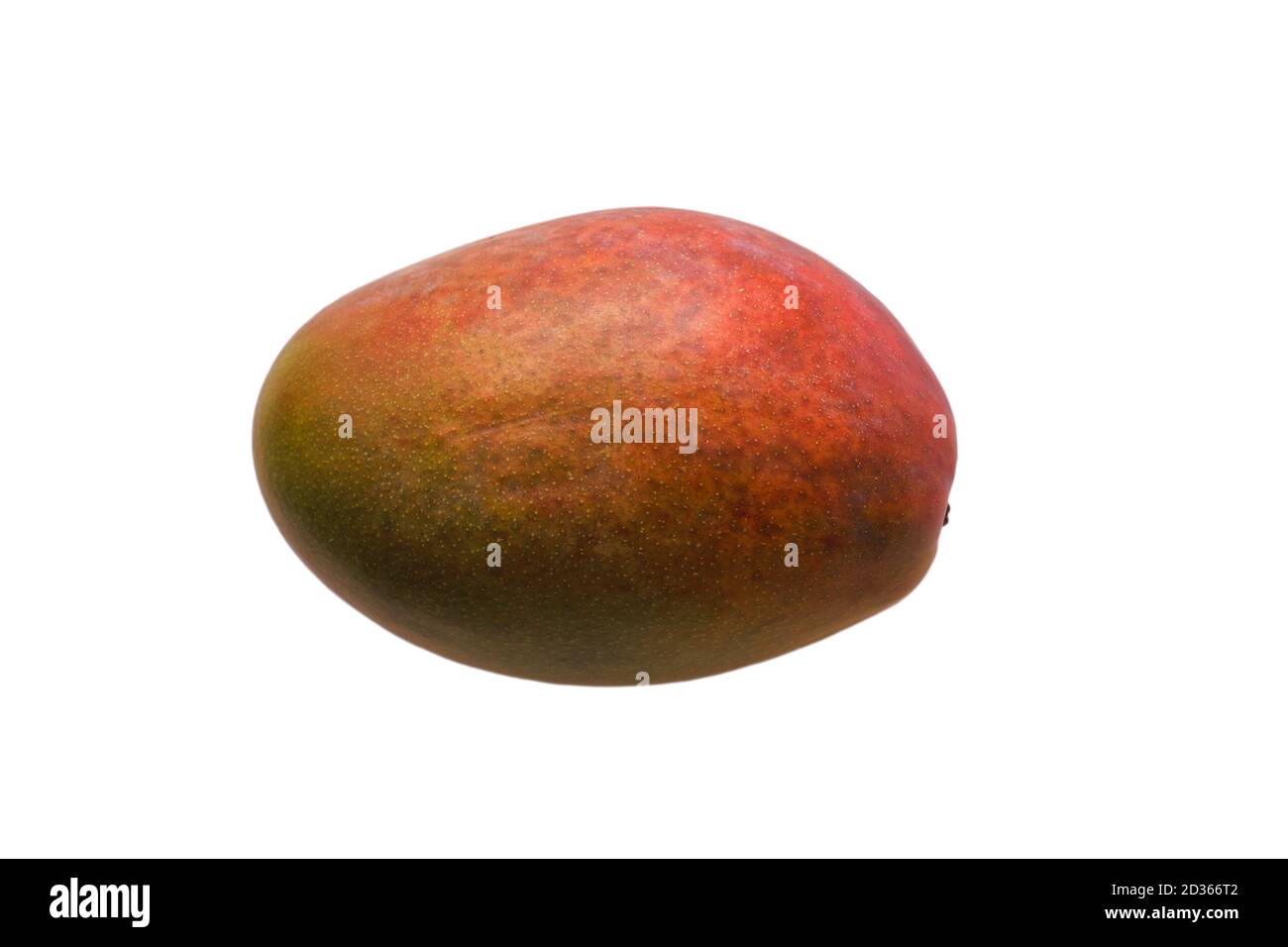 Mango isolated on white background. Fresh, unpeeled, whole fruit, red ...