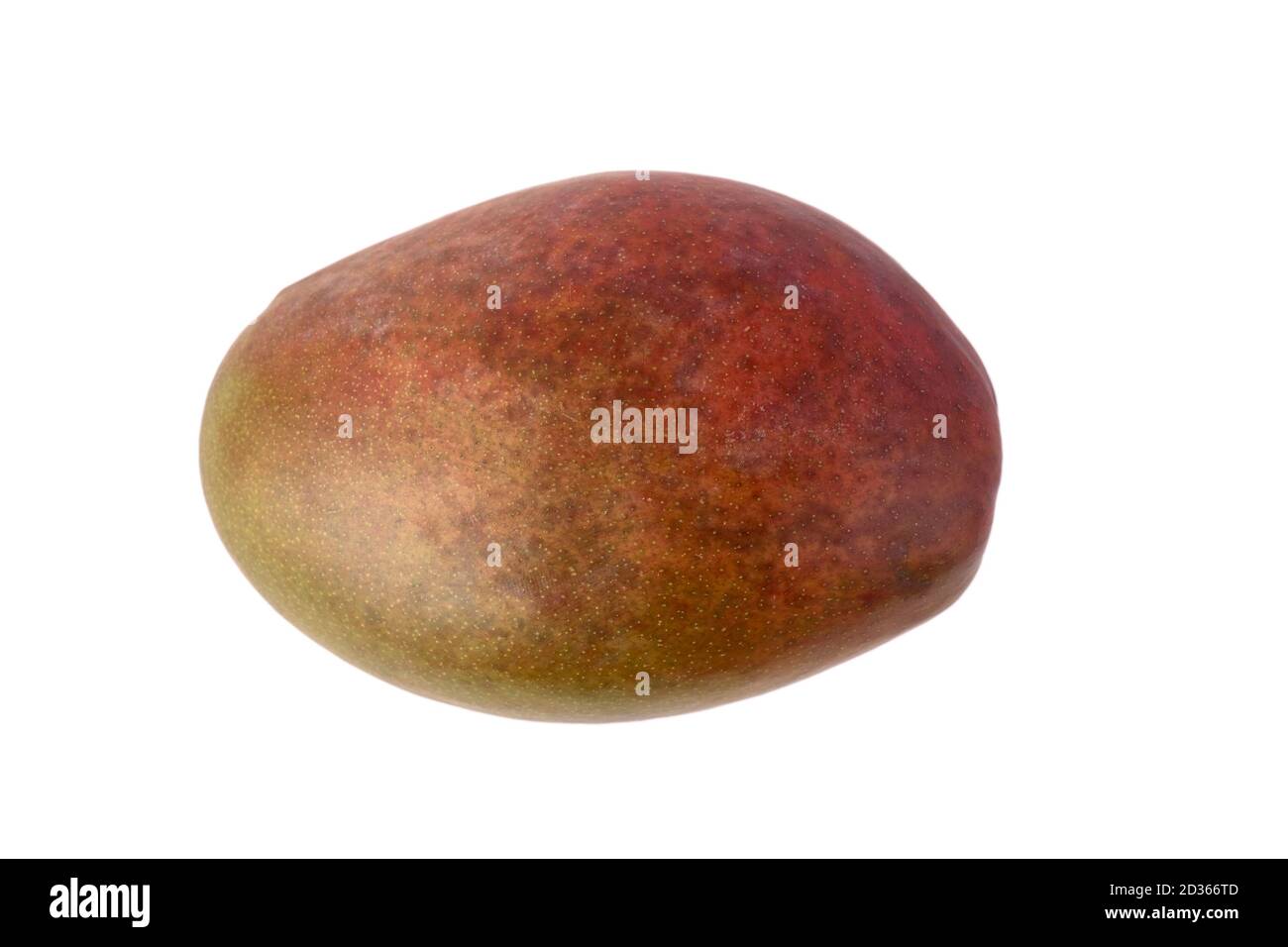 Mango isolated on white background. Fresh, unpeeled, whole fruit, red ...