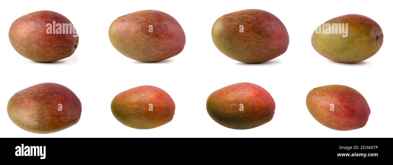 Mango isolated on white background. Fresh, unpeeled, whole fruit, red ...