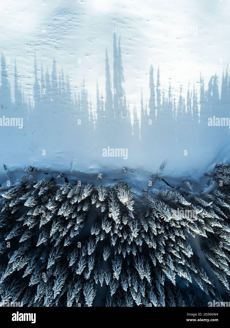 Aerial top down shot trees hi-res stock photography and images - Alamy