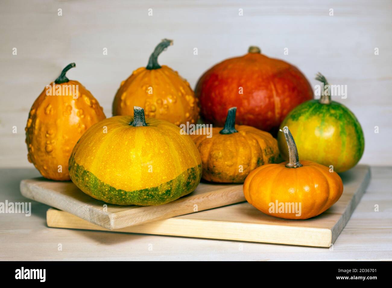 Pumpkins on rustic wooden planks. Composition with pumpkins. Autumn ...
