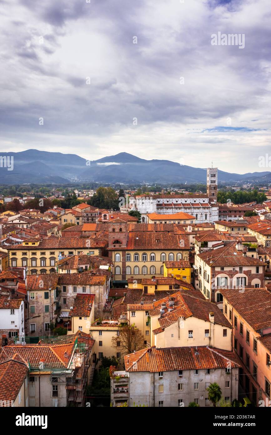 View of Lucca the walled city from above, Lucca, Tuscany, Italy, Europe ...