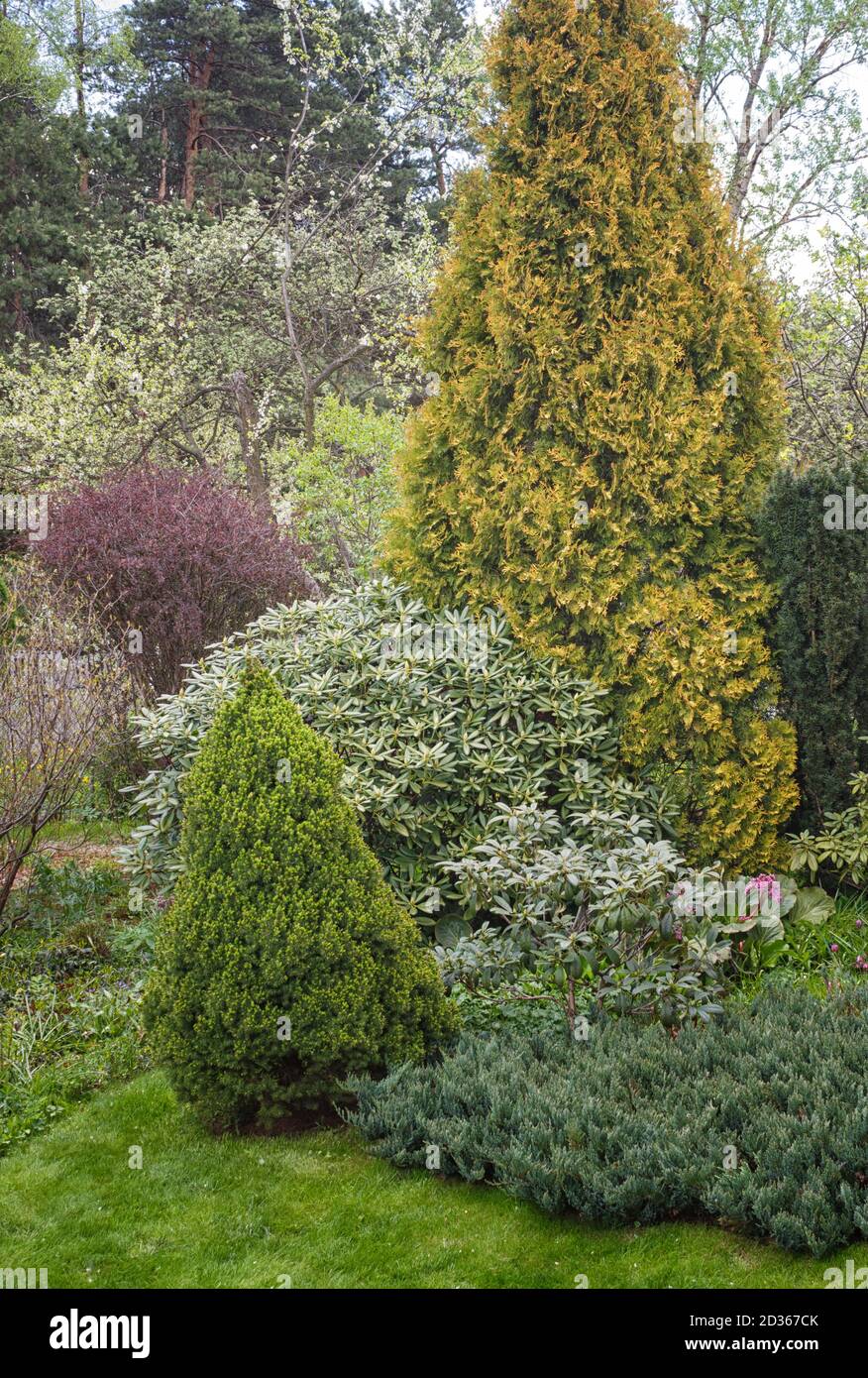 Beautiful colorful park coniferous hi-res stock photography and images ...