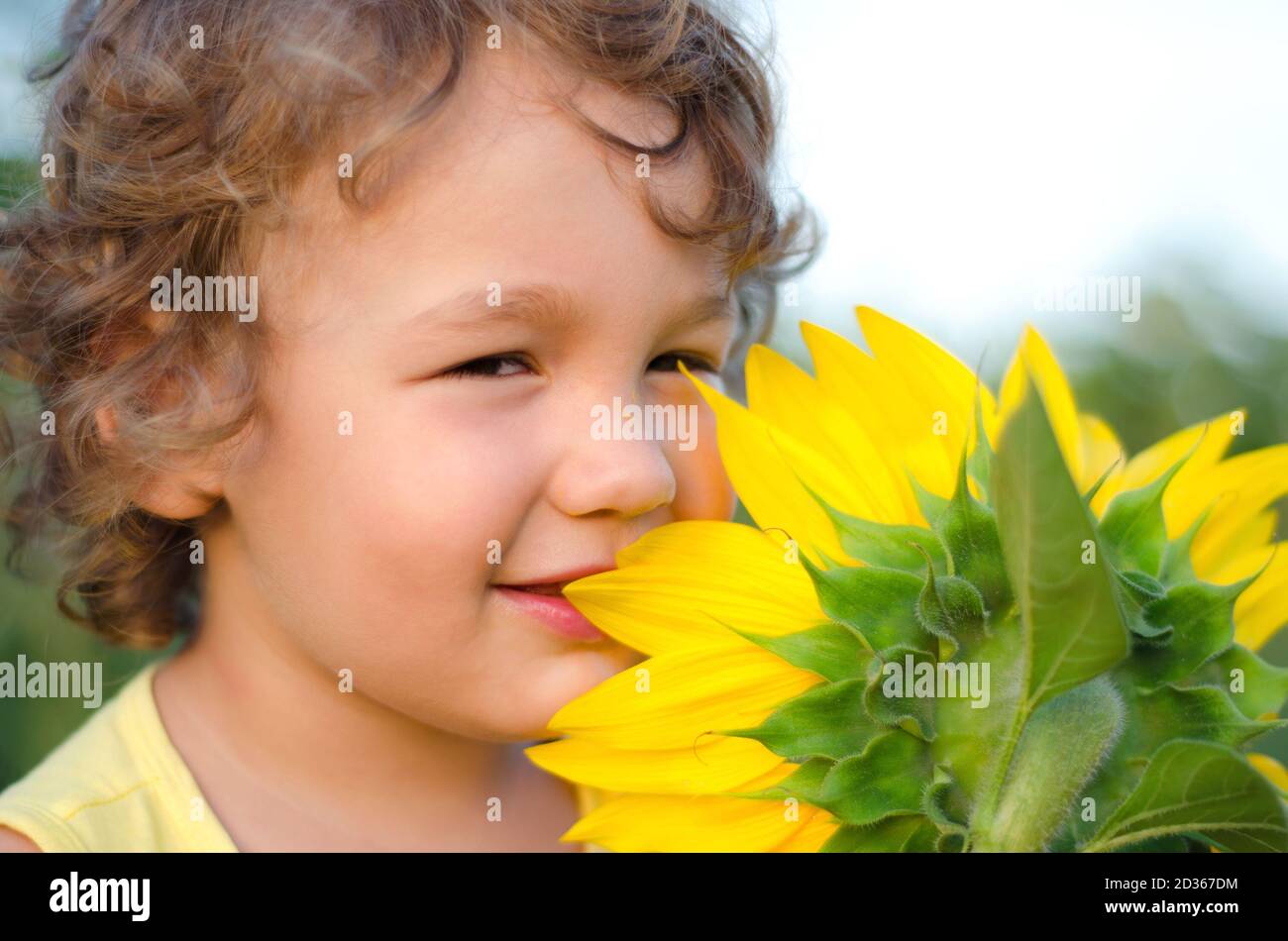 little boy with yellow sunflower closeup Stock Photo - Alamy
