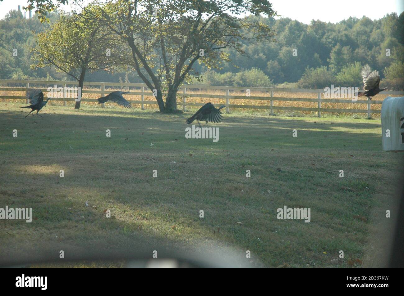 7 October 2020 Stock Photo - Alamy