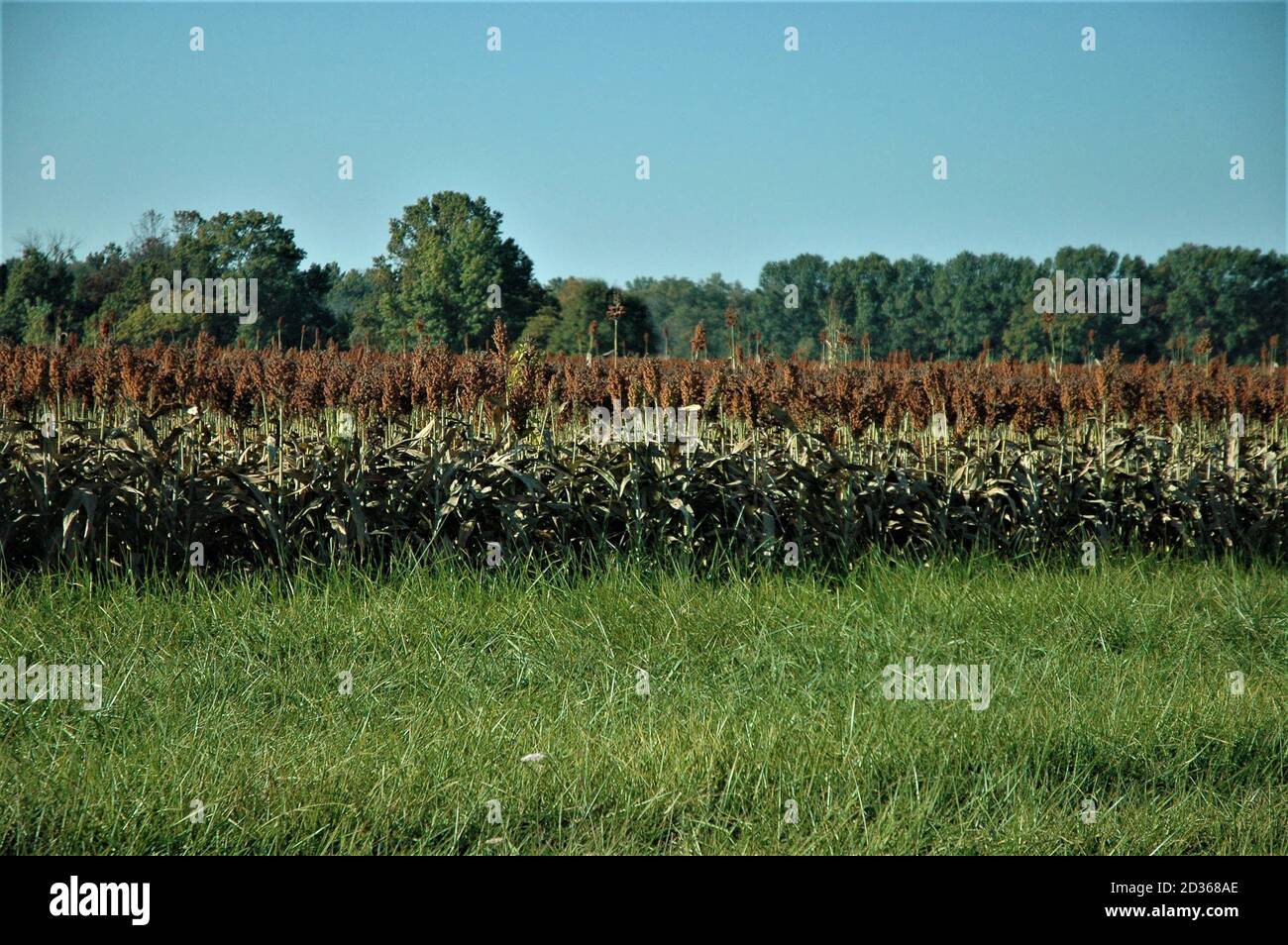 7 October 2020 Stock Photo - Alamy