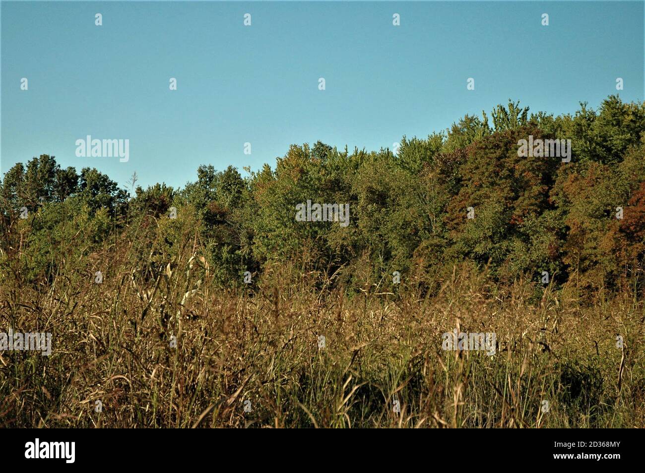 7 October 2020 Stock Photo - Alamy