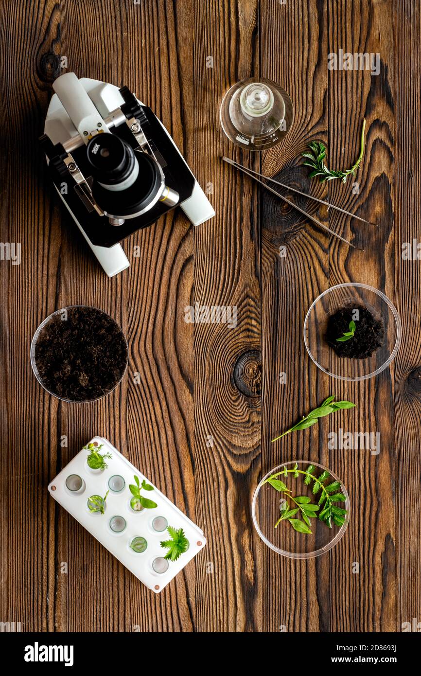 Plants with microscope in scientific laboratory. Top view Stock Photo ...