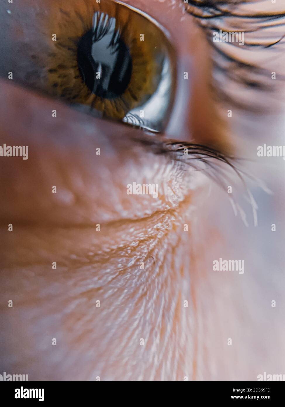 Details human eye macro hi-res stock photography and images - Alamy