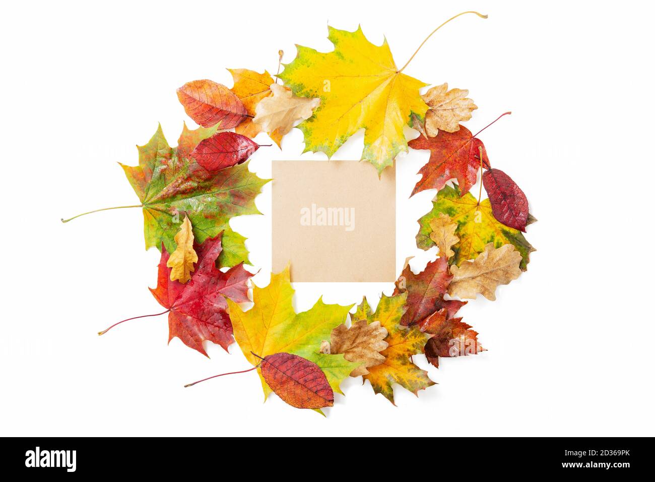 Composition blank card colorful Cut Out Stock Images & Pictures - Alamy