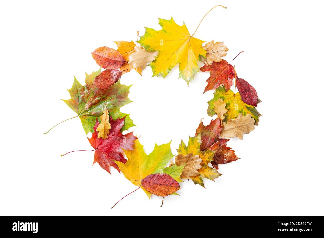 Fall colors frame rustic Cut Out Stock Images & Pictures - Alamy