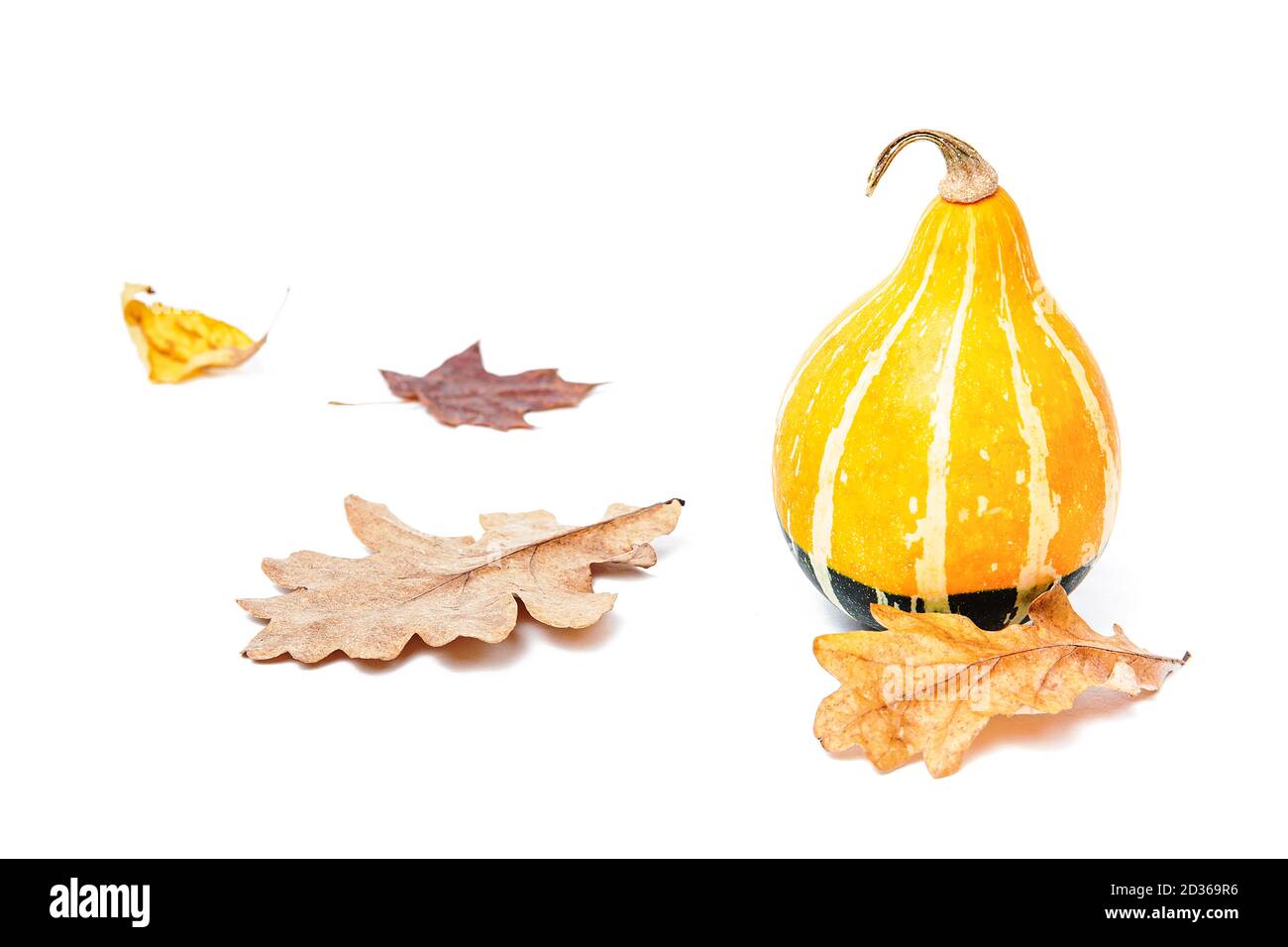 Pear shaped leaves Cut Out Stock Images & Pictures - Alamy