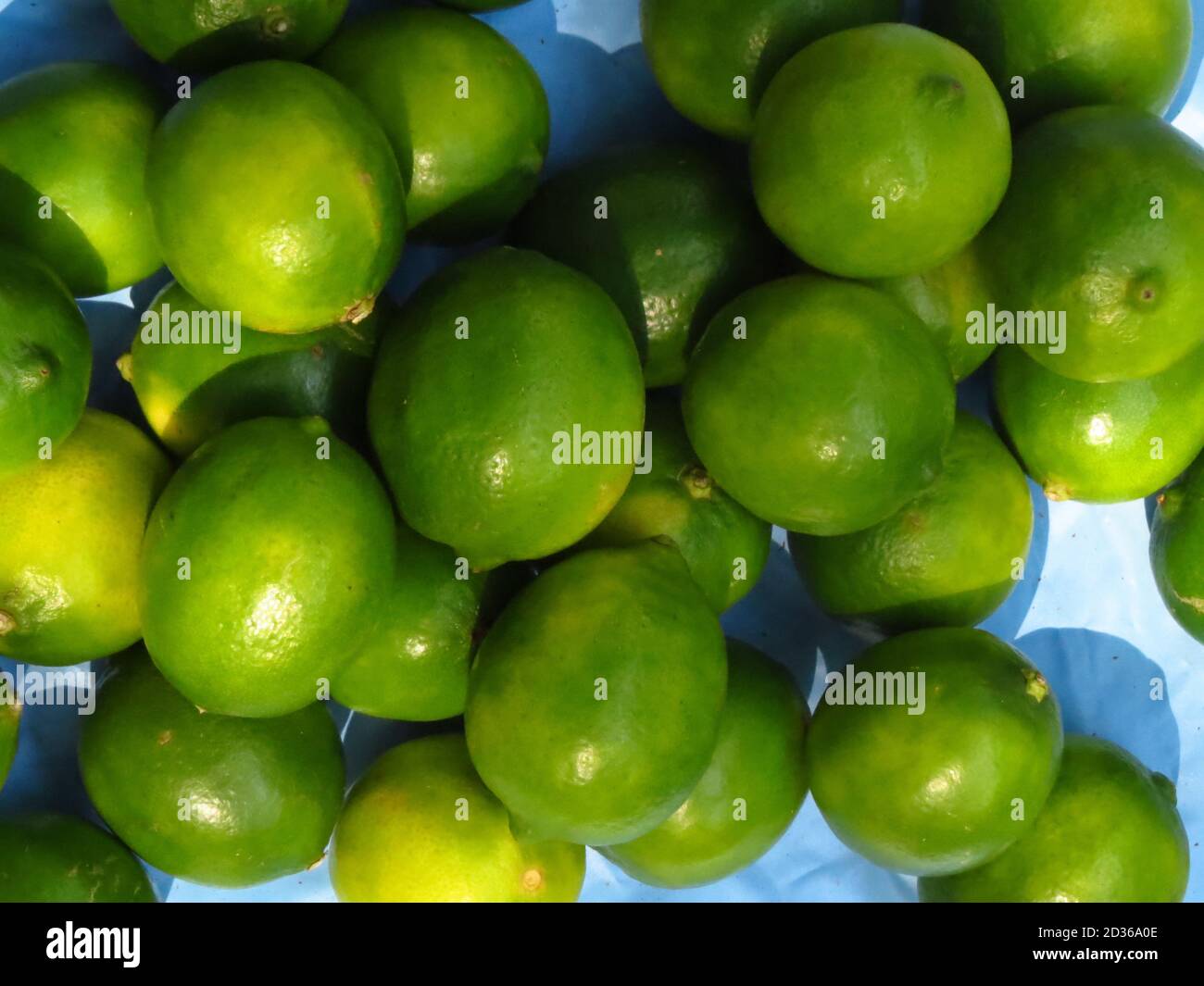 Top view of beautiful lemons Stock Photo - Alamy